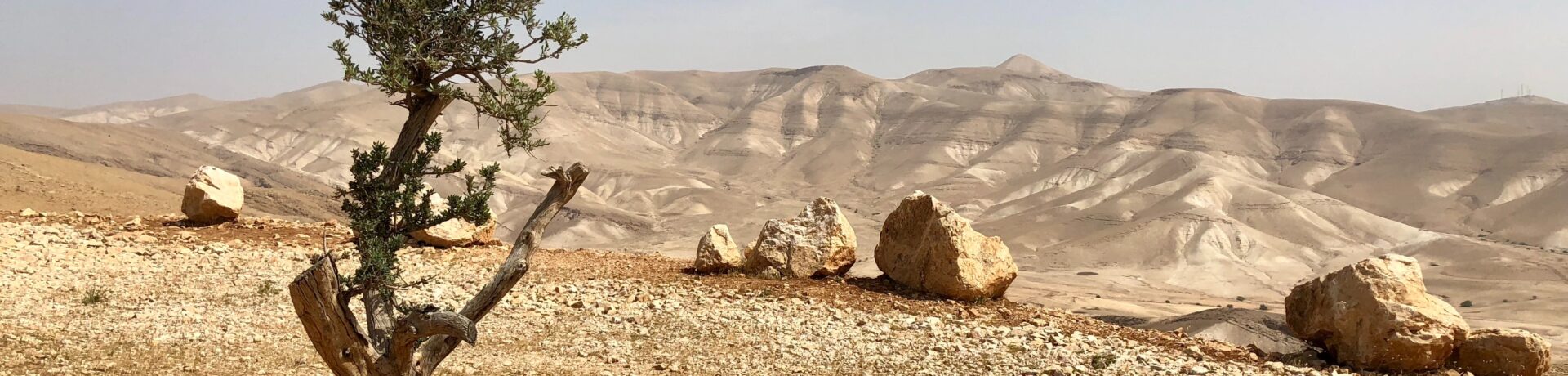 | Polisoteka Podróże